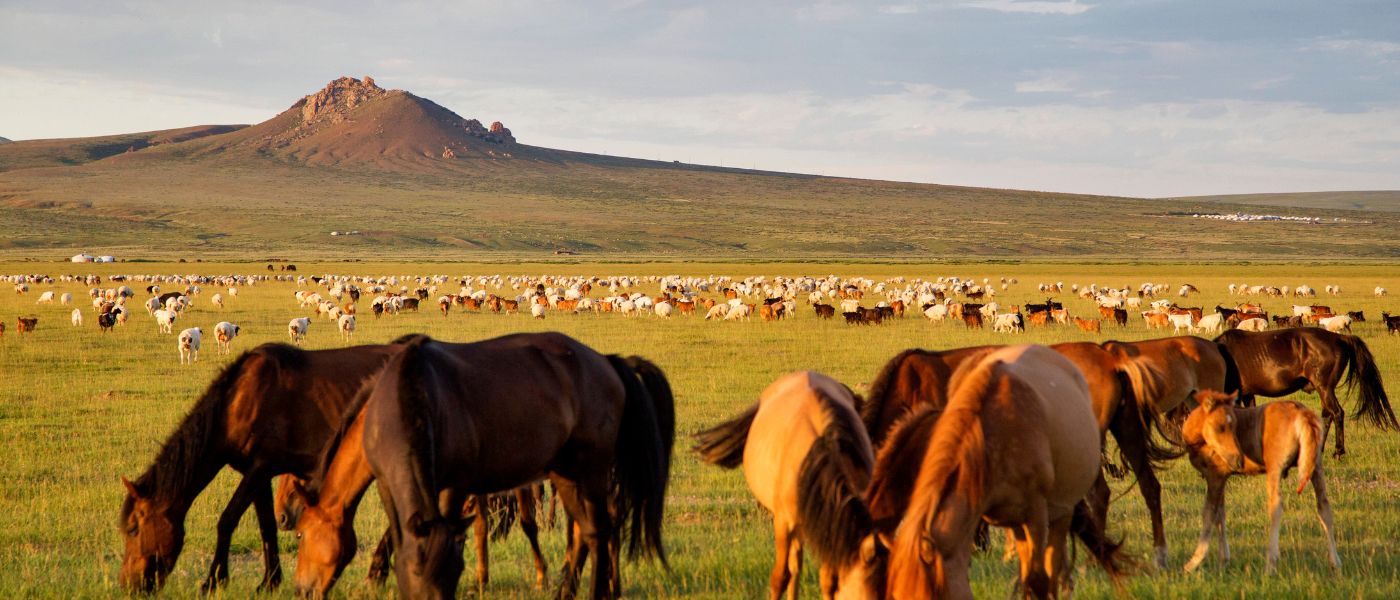 Explore the Top 10 Most Beautiful Places to Visit in Mongolia