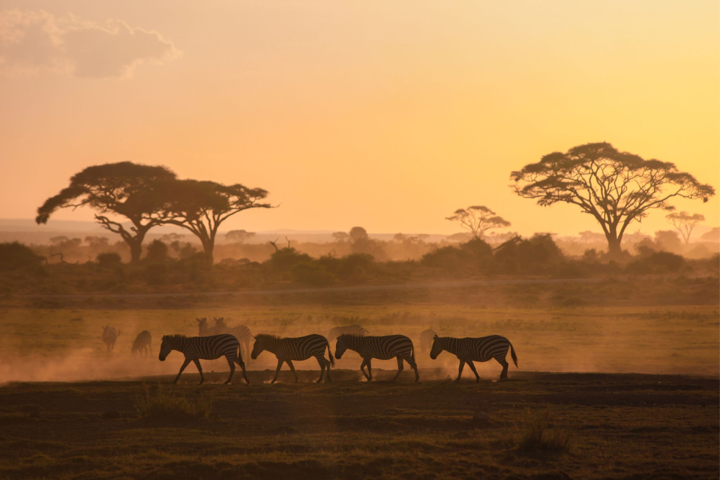 Top 10 Places to Visit in Kenya for Unforgettable Travel